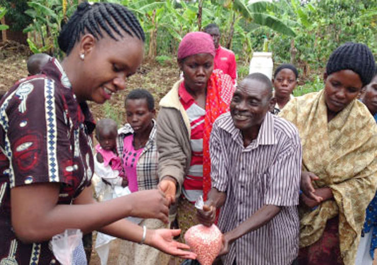 Parliament orders audit into Shs3bn NAADs seeds supply project – CEO ...