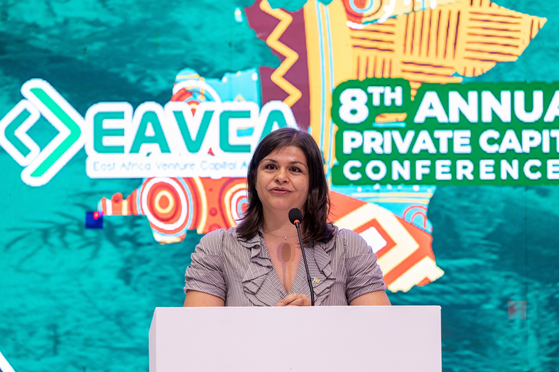 A peek into European Union-supported blended finance vehicles that ...